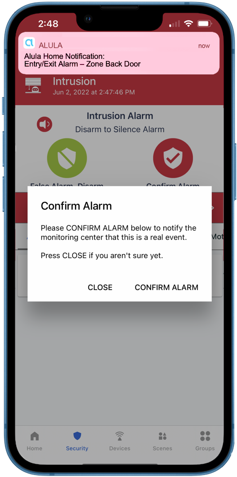 Security Solutions - Alula